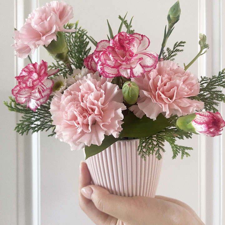 플레도 pletho | 작가 피드