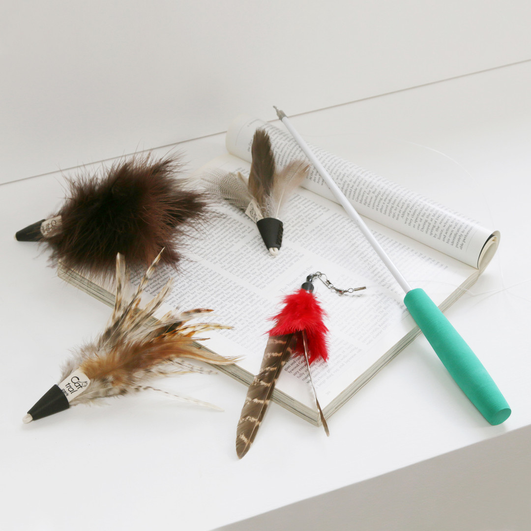 100 cm fishing rod + 4 refill feathers 1 set cat | idus