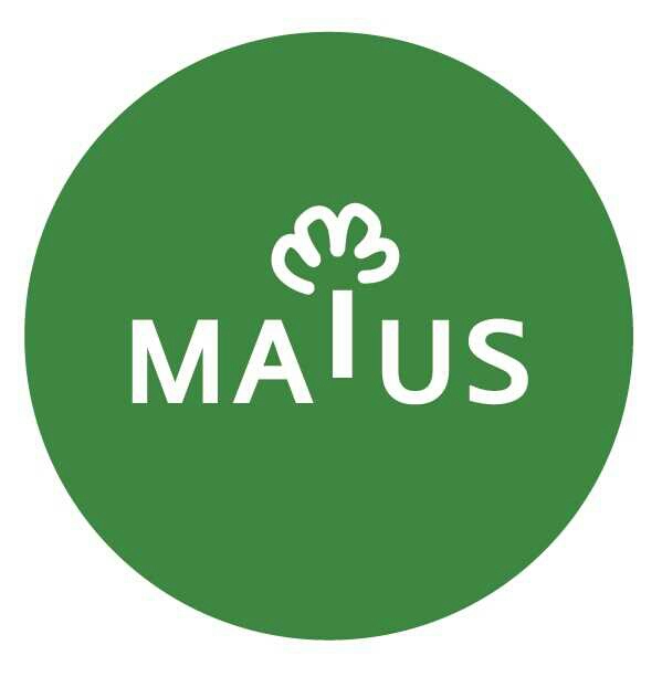 MAIUS 마이어스 | 판매중인 작품