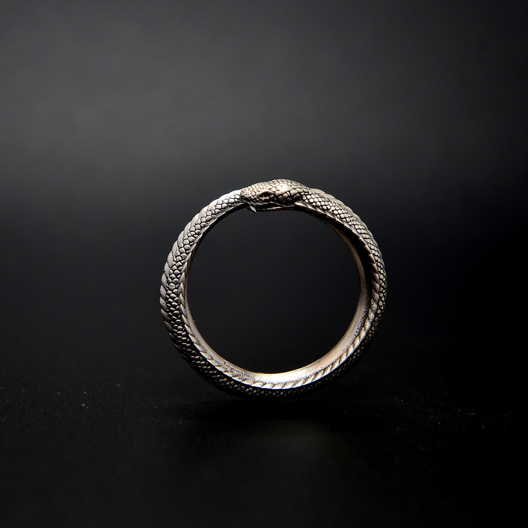 925 Silver Snake Ring 2 Silver Ring | idus