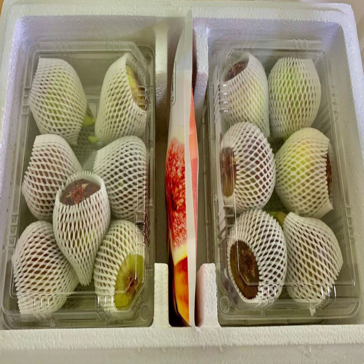 GAP인증 고당도 영암 무화과 홍무화과 500g×2팩 | 아이디어스