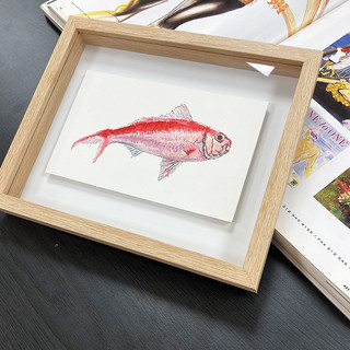 'Queen snapper' painting (원도) | 아이디어스