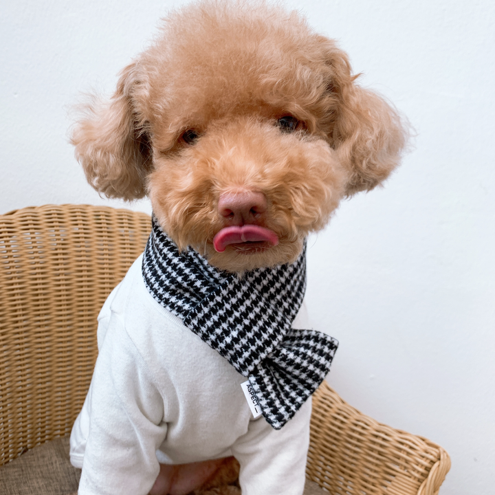 하운드 투스 체크 강아지 목도리 반려동물 댕댕이 | 아이디어스