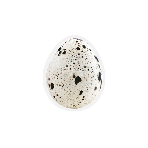 quail’s egg griptok 메추리알 그립톡 | 아이디어스