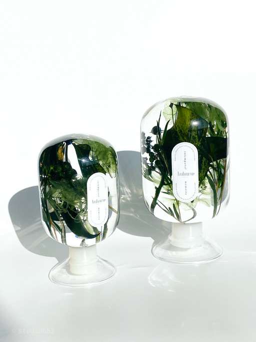 시그니처 플랜트 오브제 무드등 - Forest Dew | 아이디어스