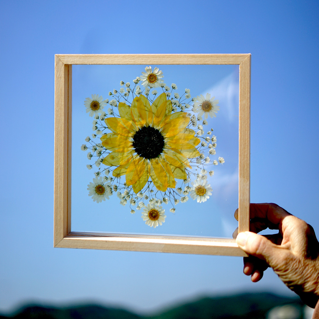 Sunflower pressed flower frame/ Pressed sunflower art/Dried Sunflower ...