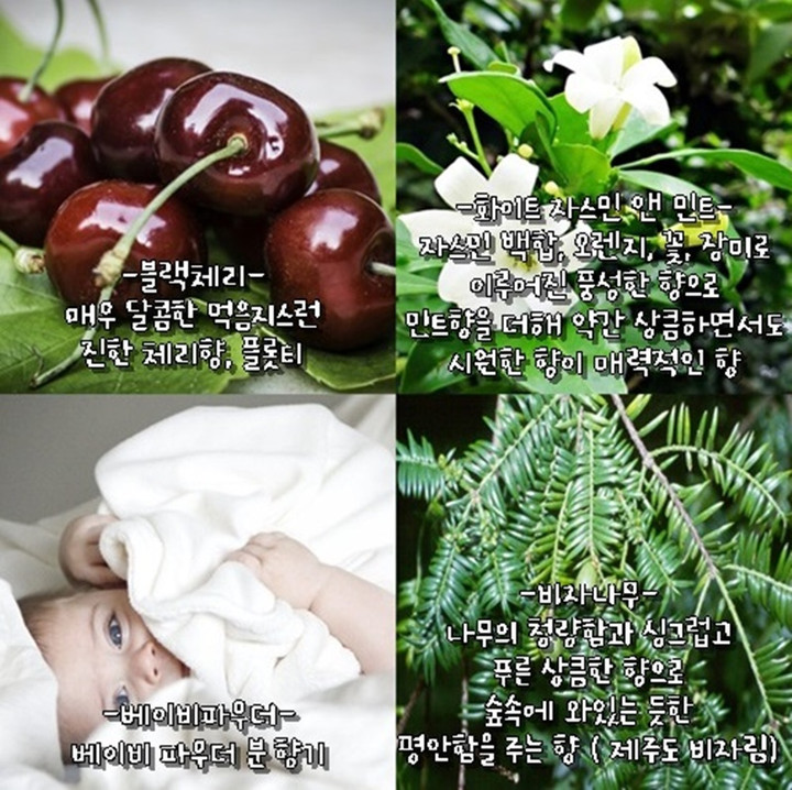 1 1 꼬마 유령 캐스퍼 귀여운 차량용 석고방향제 아이디어스
