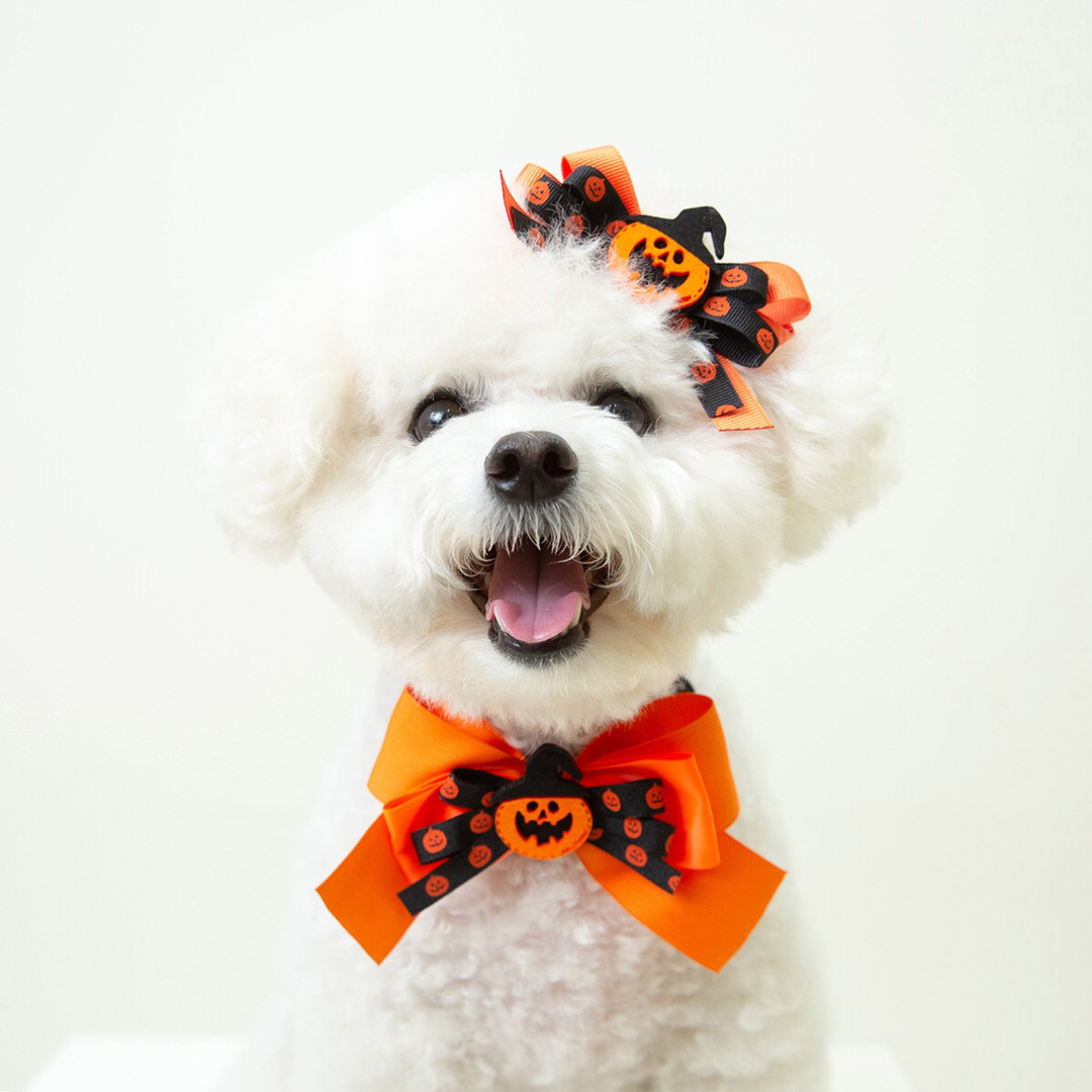 Happy Halloween Necklace Pin Set holloween pumkin holloween skeleton | idus