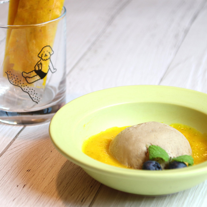 강아지 화식-오리 미트로프(100-110g) | 아이디어스