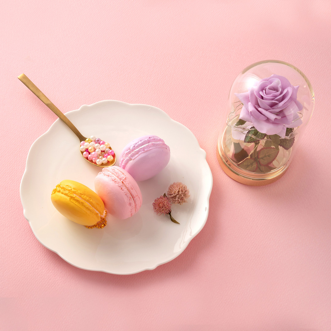 [Gift Set] Mini Rose Dome Mood Lamp + Macaron Relax Ball Keychain Set ...