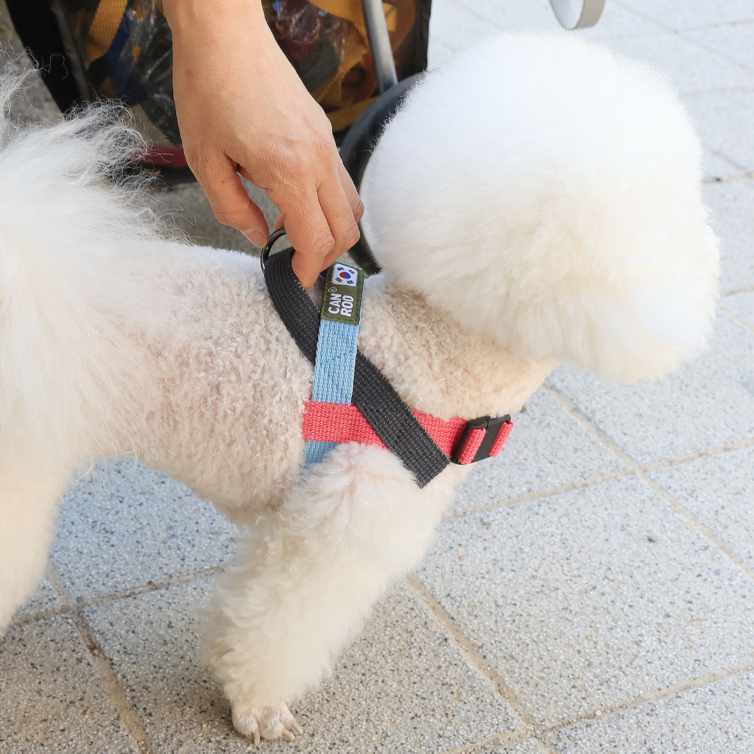 [canroo] L-type magnet handle harness 7color SML small dog medium sized dog