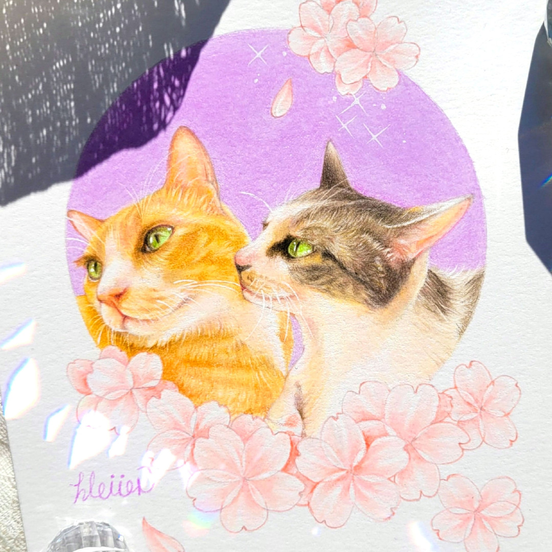 SHERBET colored pencil pet portrait drawing (frame included)