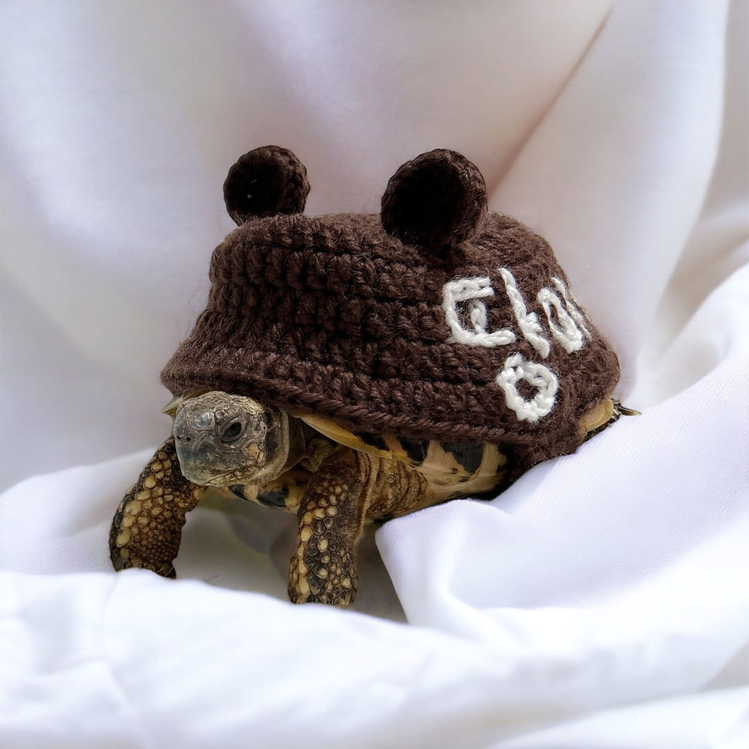 Bear Turtle Knitted Clothes | idus
