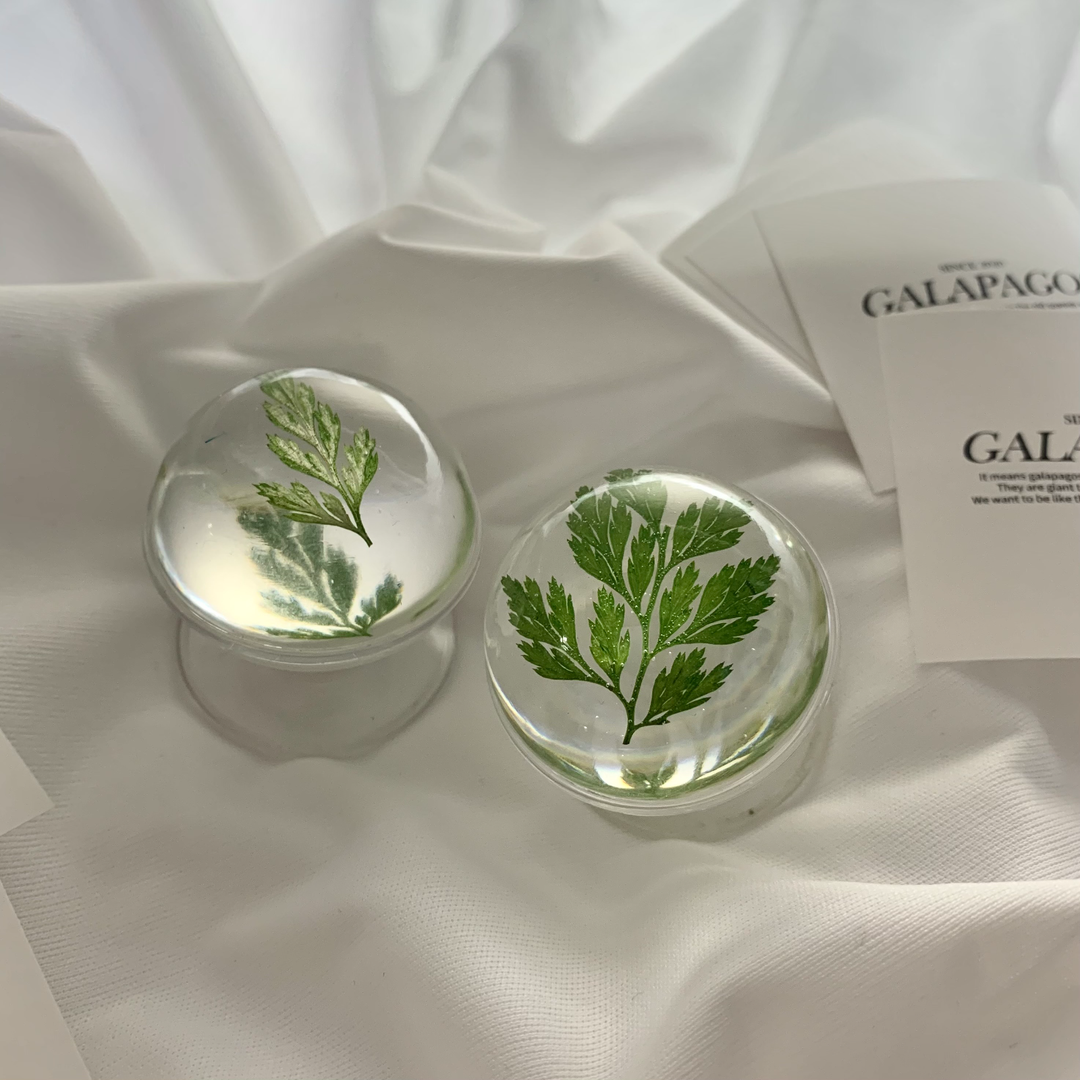 ( ️sold out) Fresh Leaf Crystal Griptok | idus