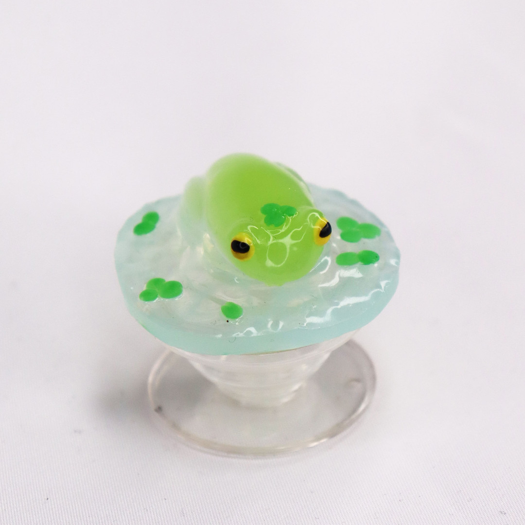 Glassfrog pond pop socket | idus