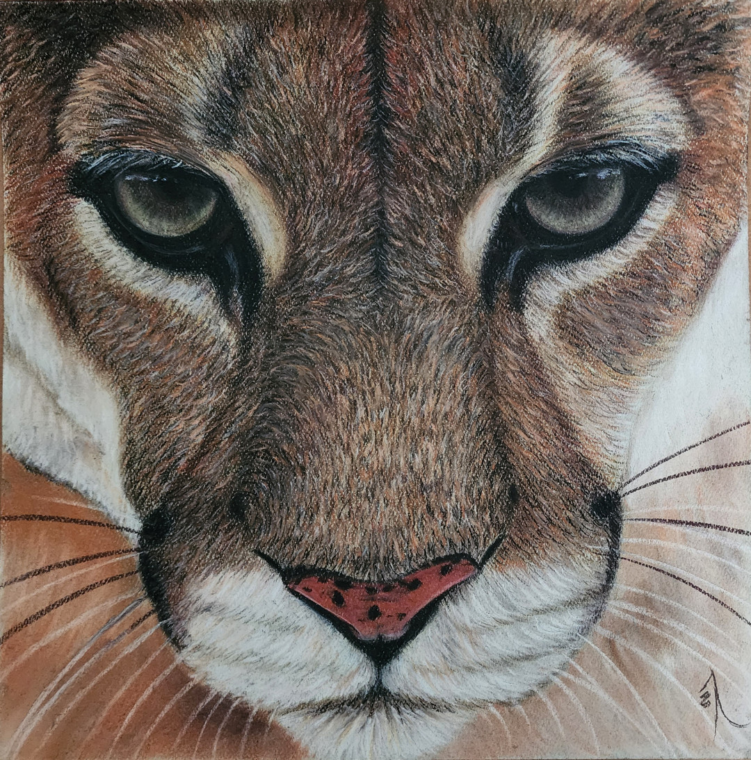 Wild & PUMA; Unique & Cool & Sensitive | idus