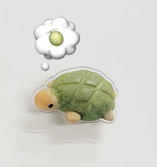 Turtle bread griptok 거북이메론빵그립톡 | 아이디어스
