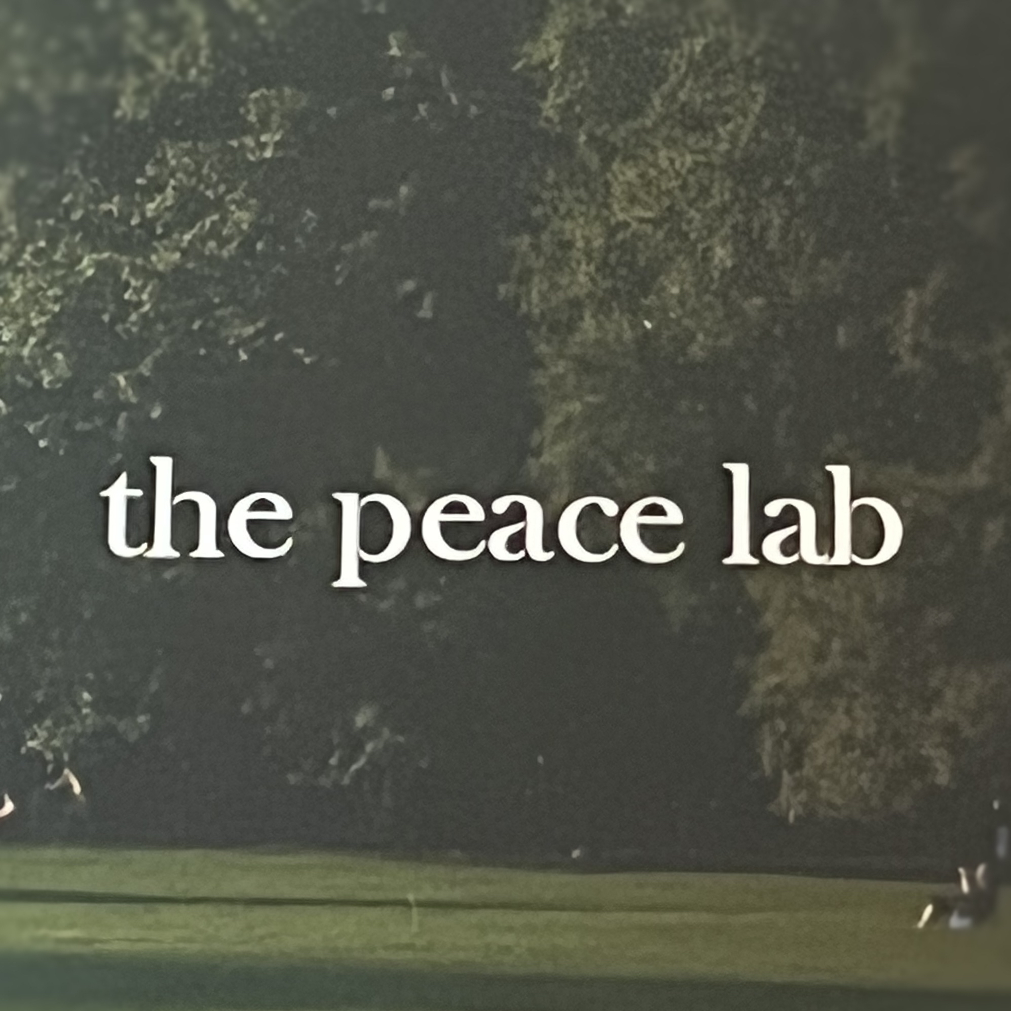 The peace lab | 판매중인 작품