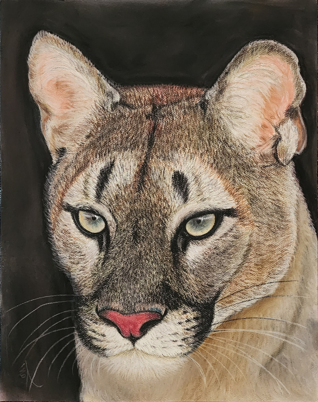 Wild & PUMA; Unique & Cool & Sensitive | idus