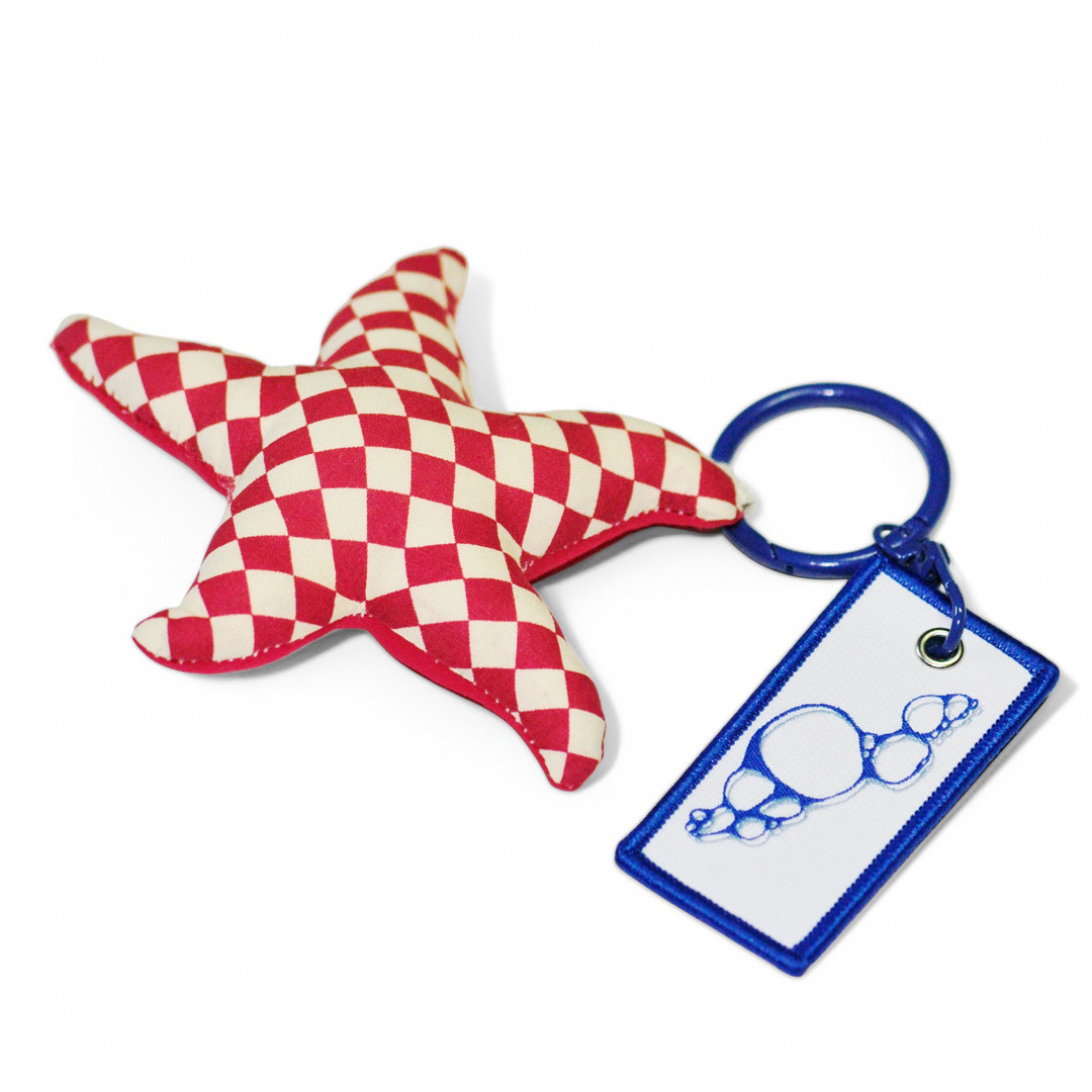 [Diversity of marine life] Starfish keychain | idus
