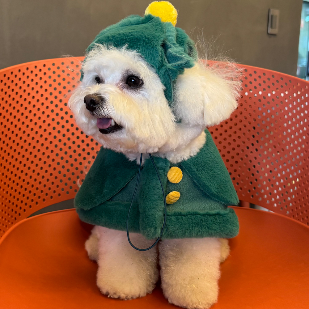 Dog Shearling Cape Coat | idus