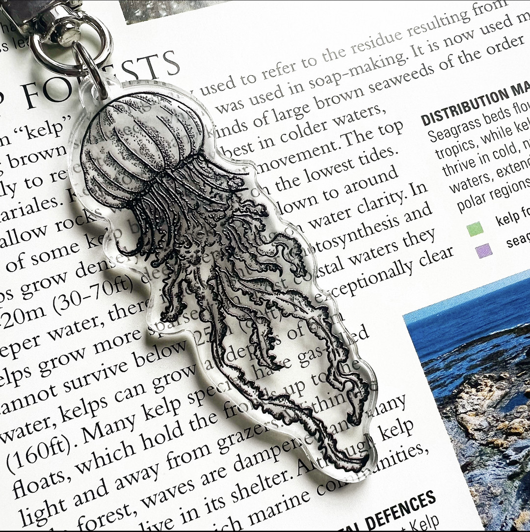 Jellyfish Key Chain | idus