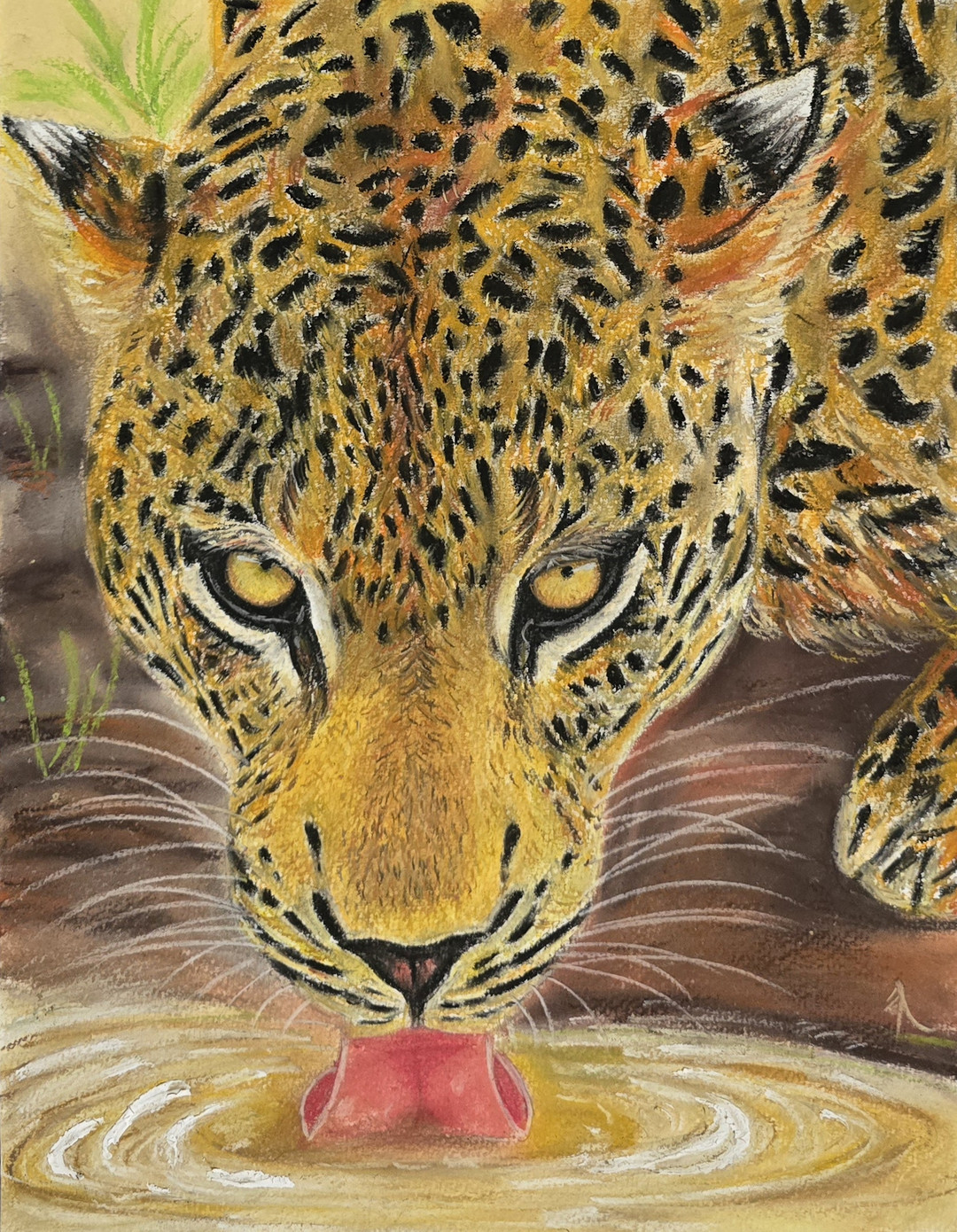 Thirsty Leopard 🏞🐆 | idus