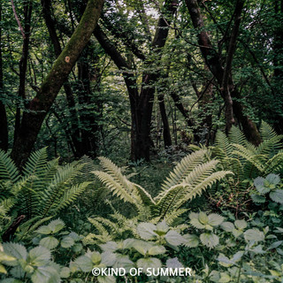 Square FLORESTA sticker set | idus