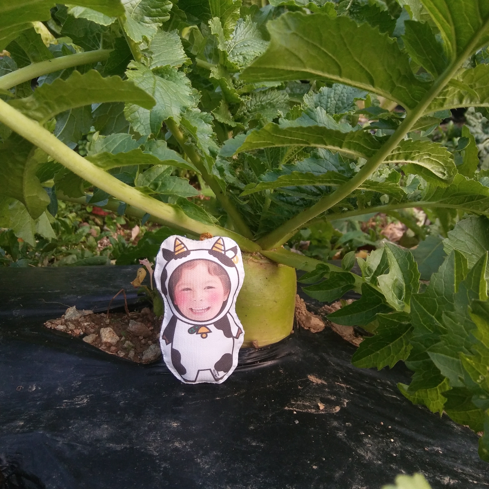 만들리 mandly | 판매중인 작품