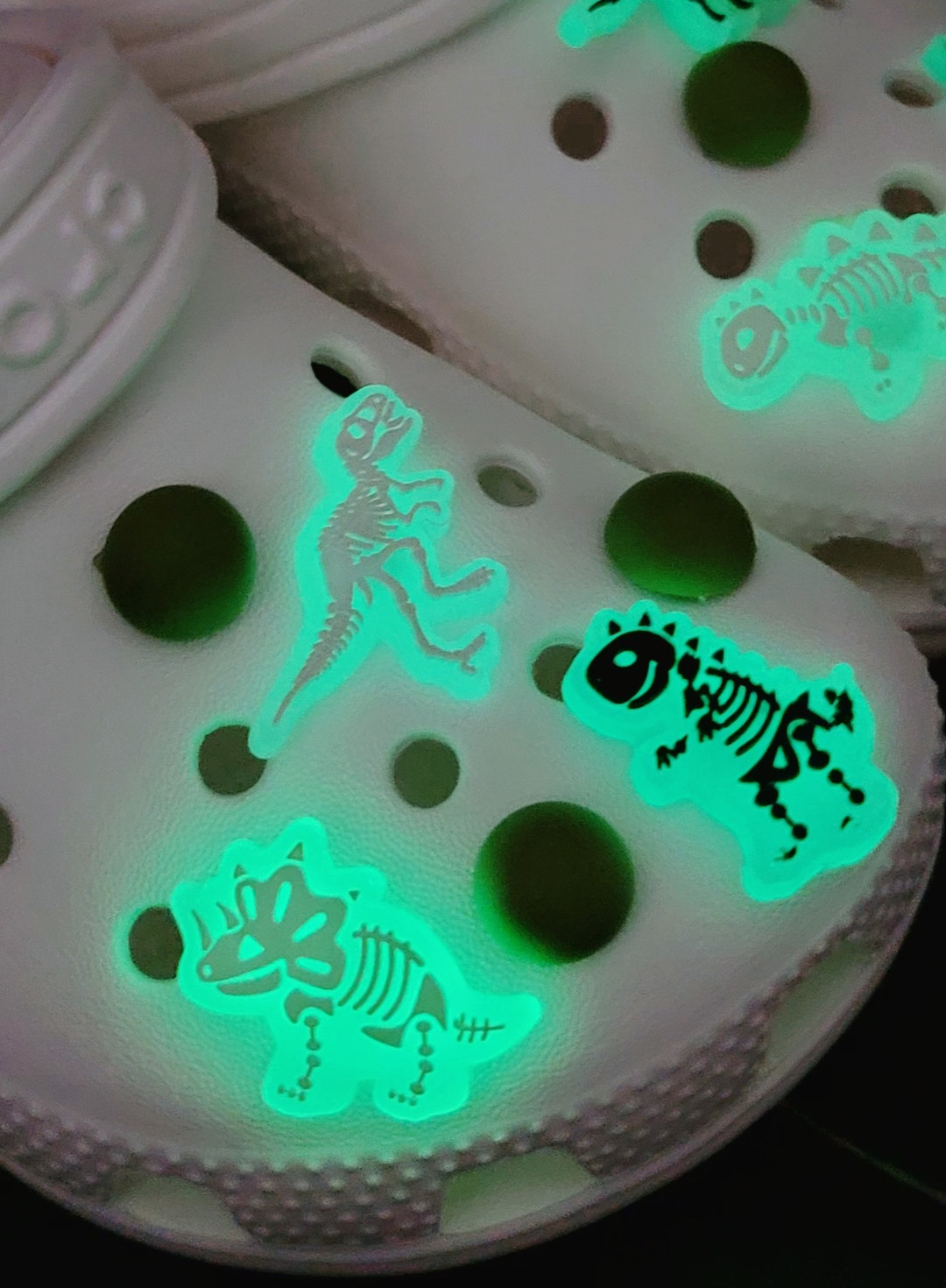 Glow-in-the-dark dinosaur Zibitz