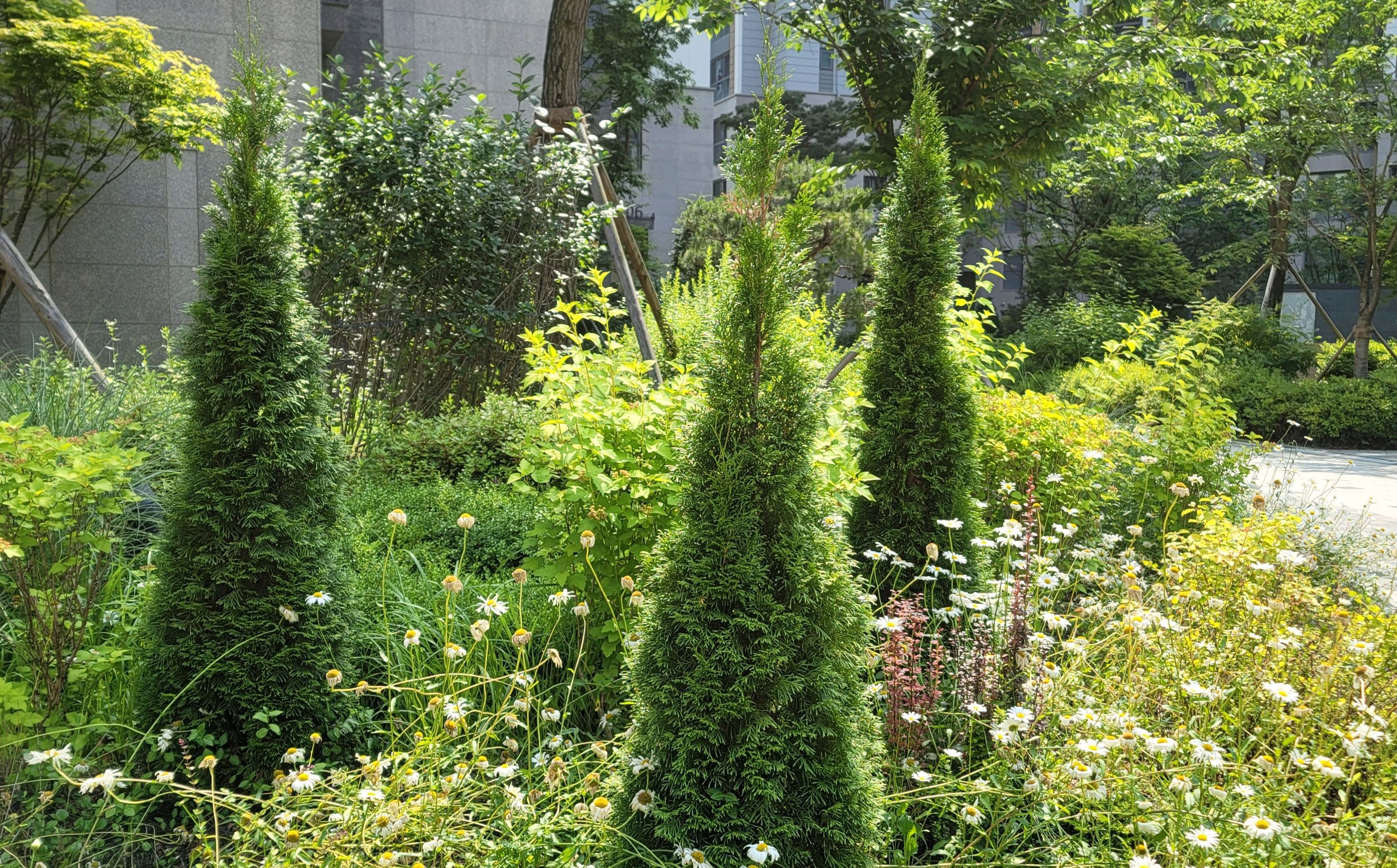 MAISON AHEEE (메종아히) | 판매중인 작품