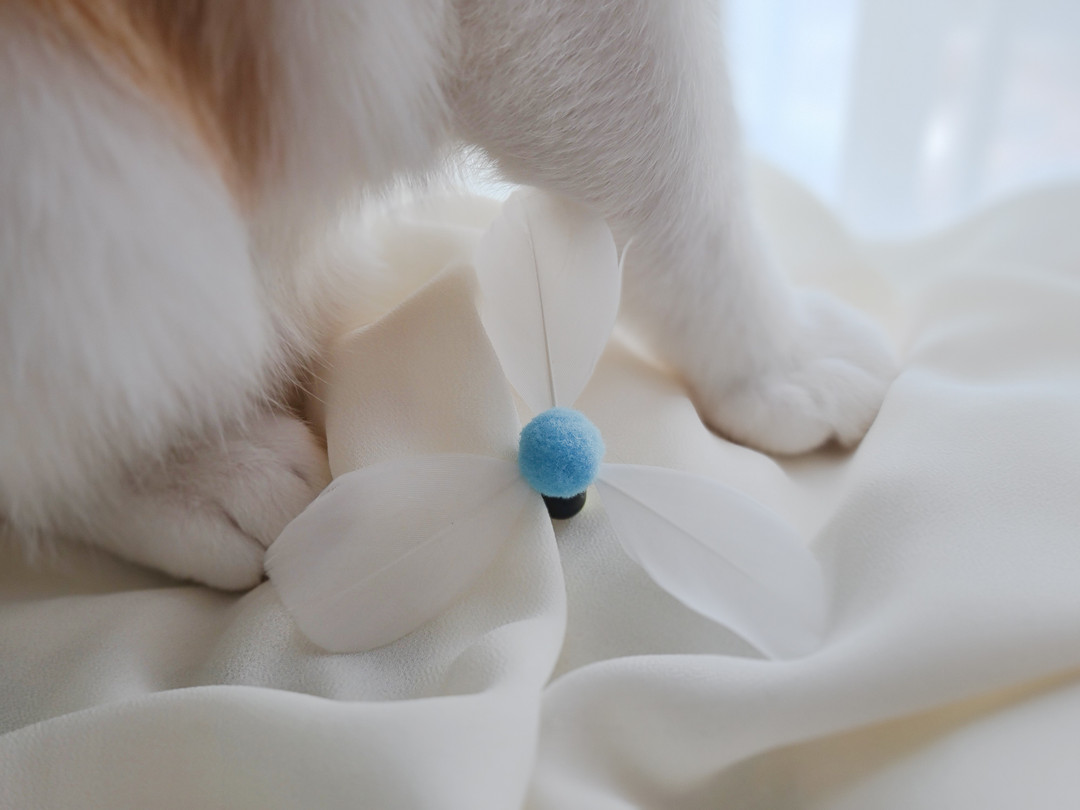 cat toy Daisy | idus