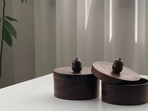 acorn case (walnut) | 아이디어스