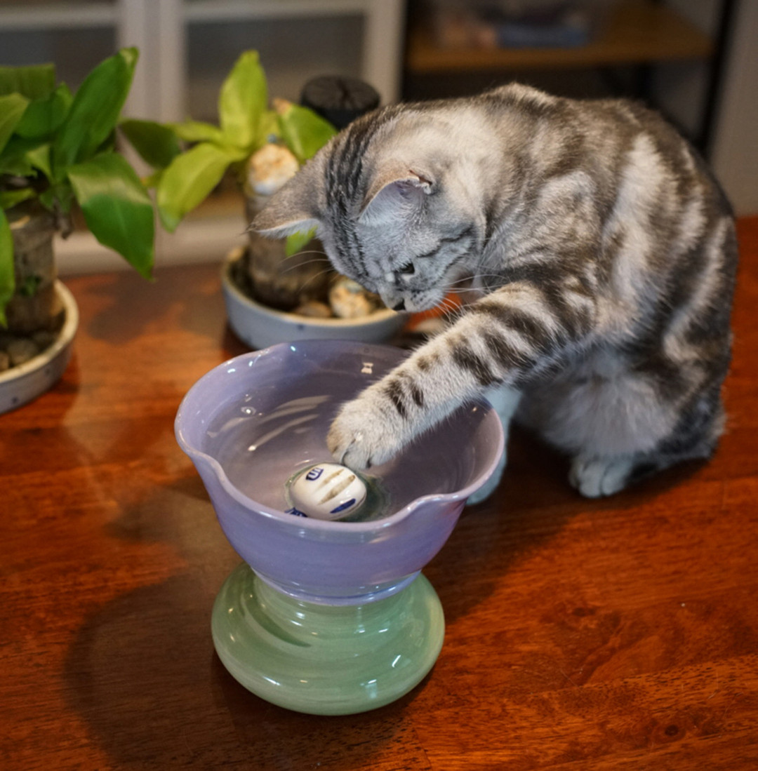 Floating ceramic toy for cats | idus