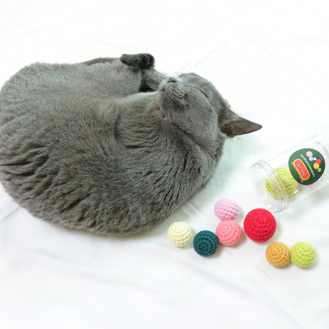 Cat catnipball | idus