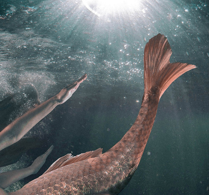 Mermaid tale ER | 아이디어스