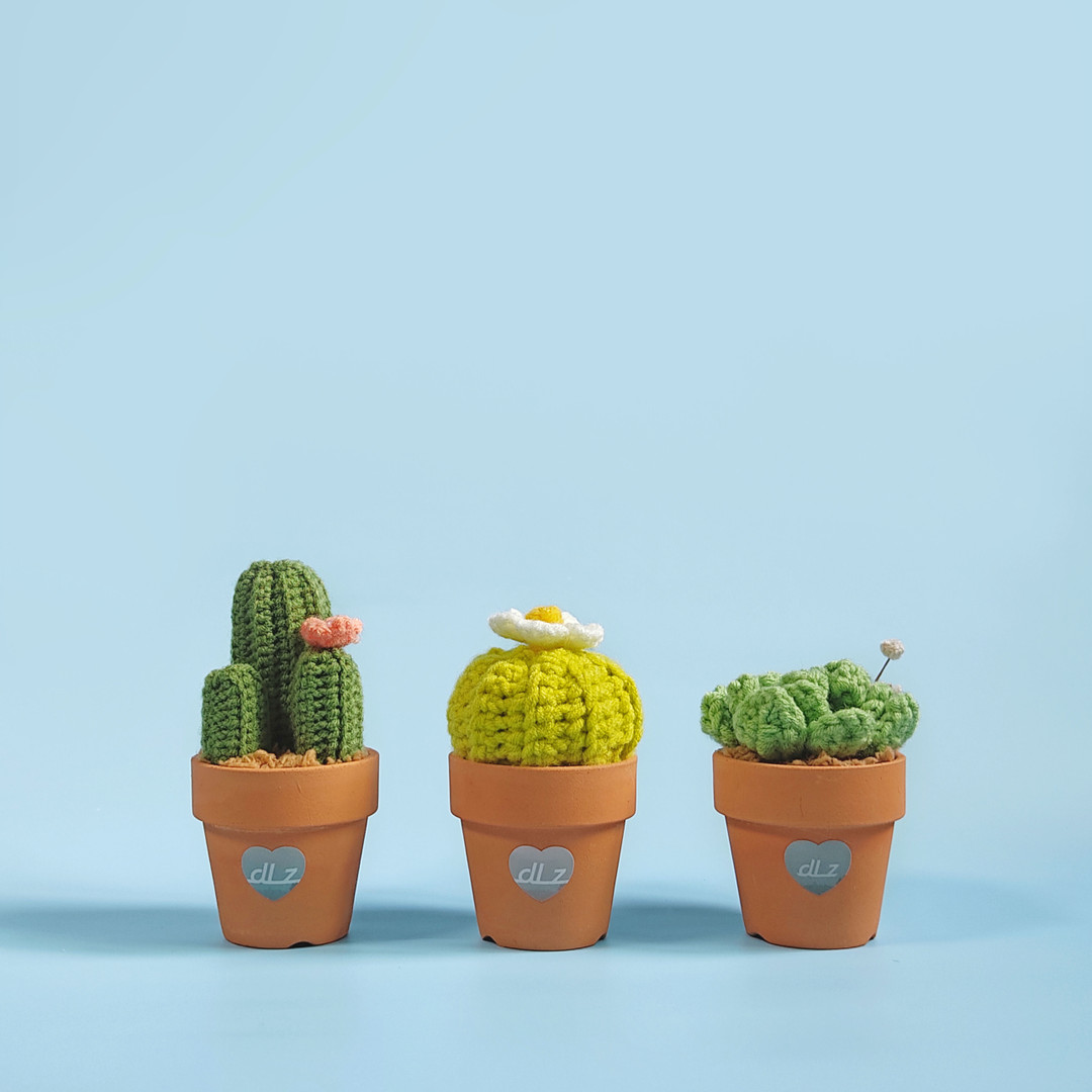 Hand Knit Cactus Succulent Pots