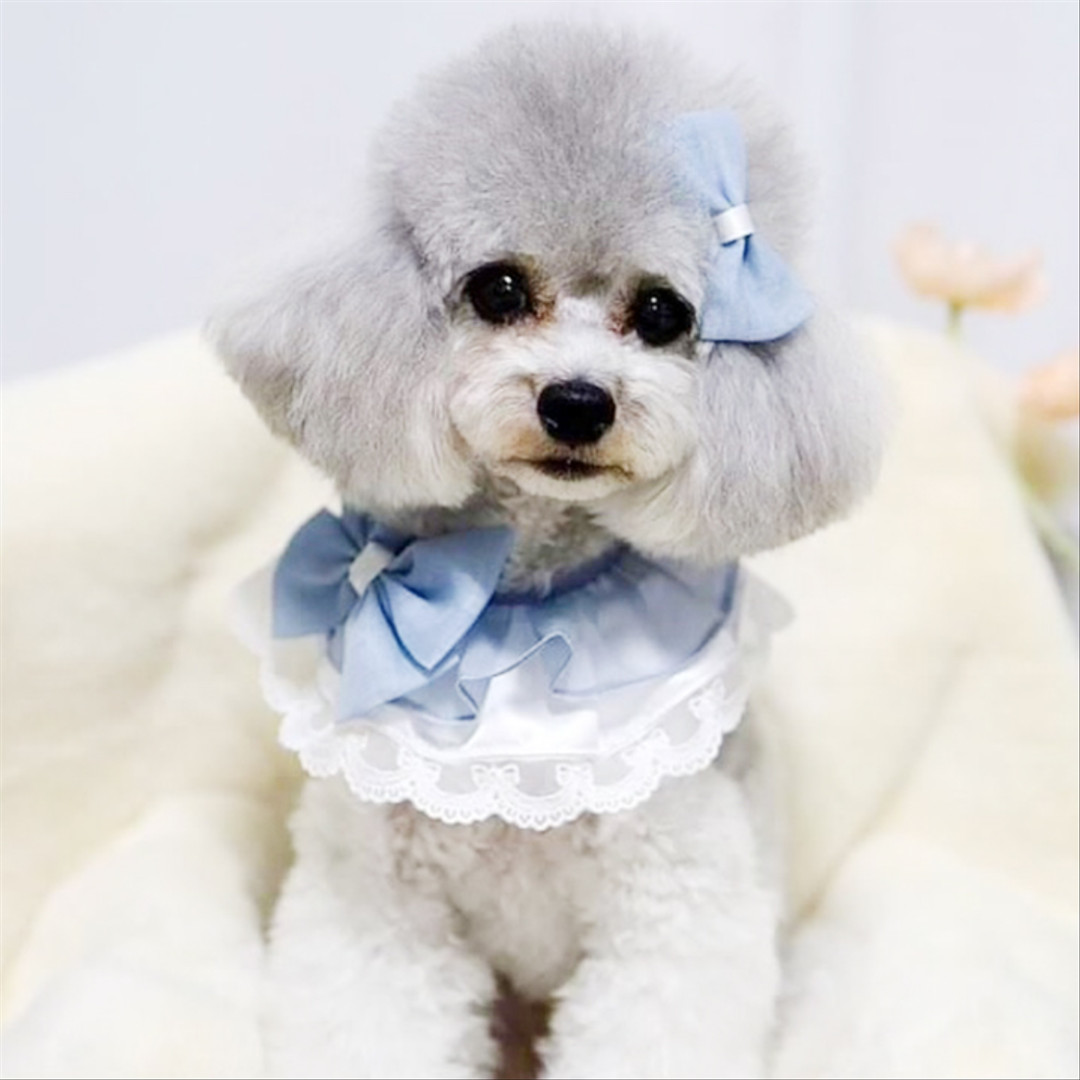 (S~3XL) Spotlight scarf