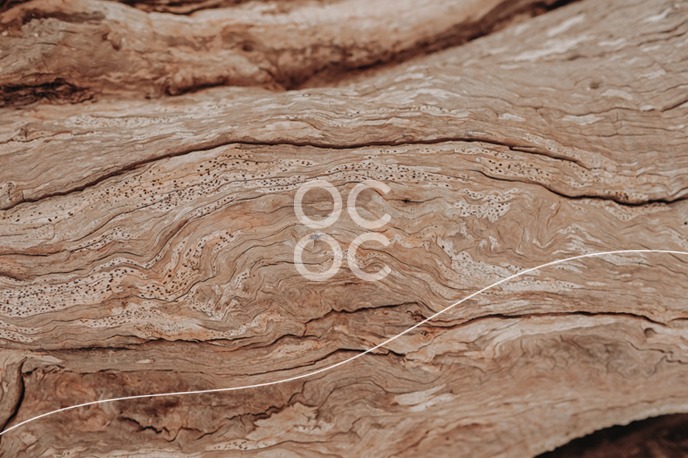 OCOC 오크오크 | 판매중인 작품