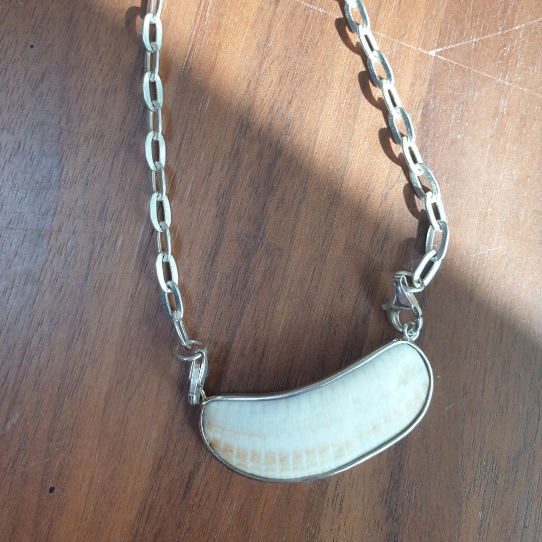 Sterling Silver Shell chain Necklace | idus