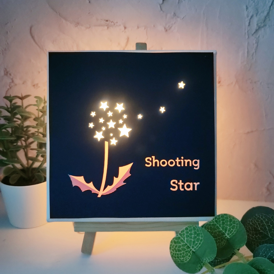 a dandelion frame resembling a shooting star(Mood light option) | idus