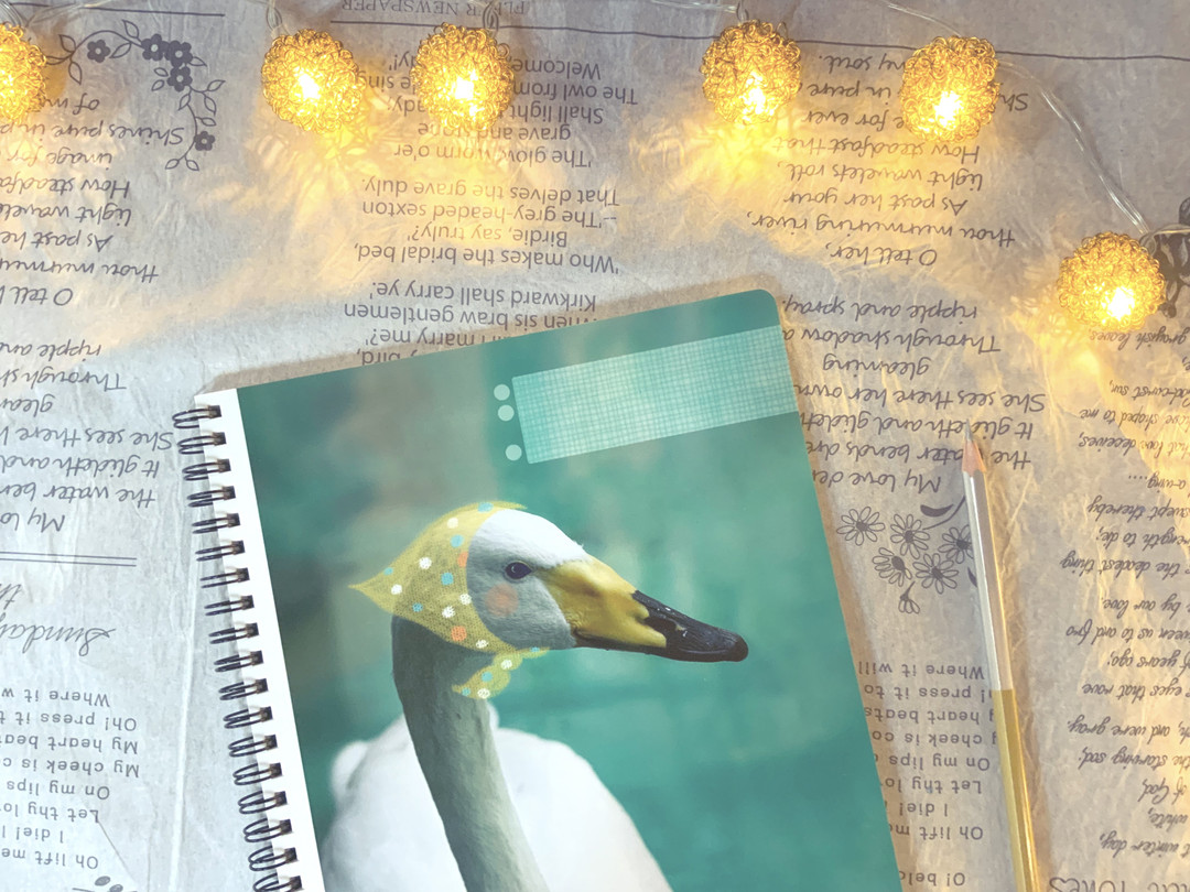 Swan Lady Spring Note | idus